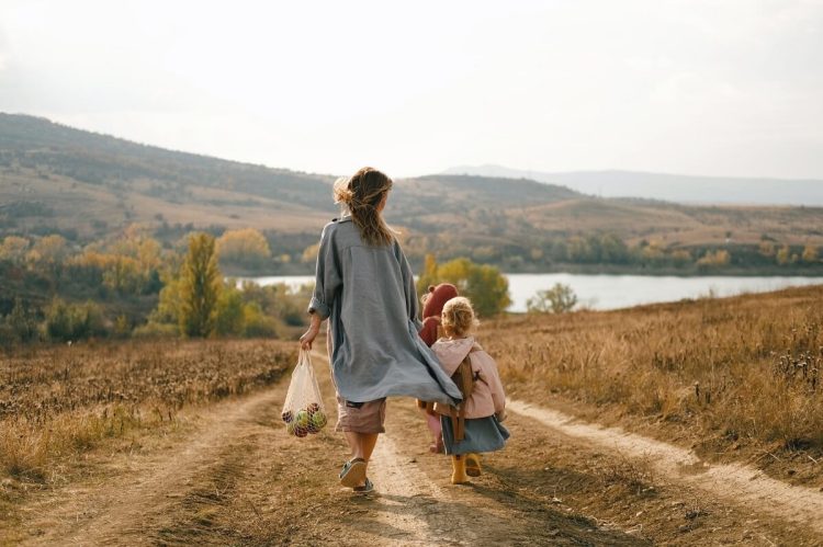 RBC Insurance - Company Review